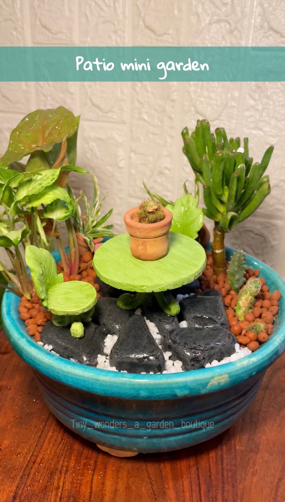 Patio mini garden
